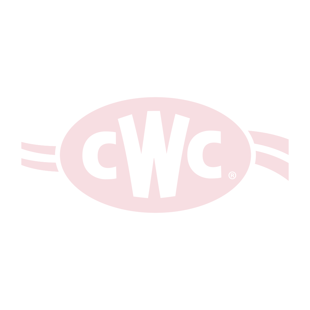 Reclosable Poly Bags 12" x 12 in. 2 mil Clear - 190371 | CWC